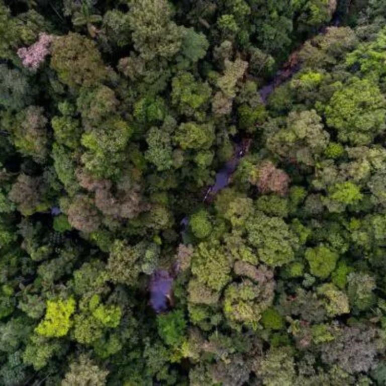 Wilks Marine Fendering - Innovative Marine Fendering Solutions